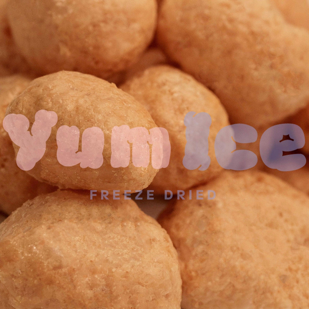 Freeze Dried Butterscotch – Yum Ice Freeze Dried